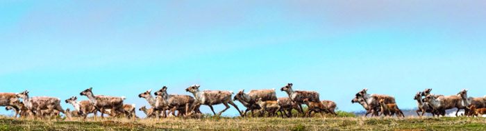 Environmental Current Events 2024 – Mother Earth News